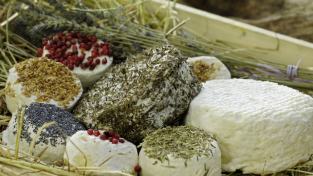 Institut de l'Élevage - Idele.fr