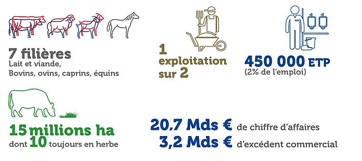 Institut Elevage Logo Partenaires Idele.fr