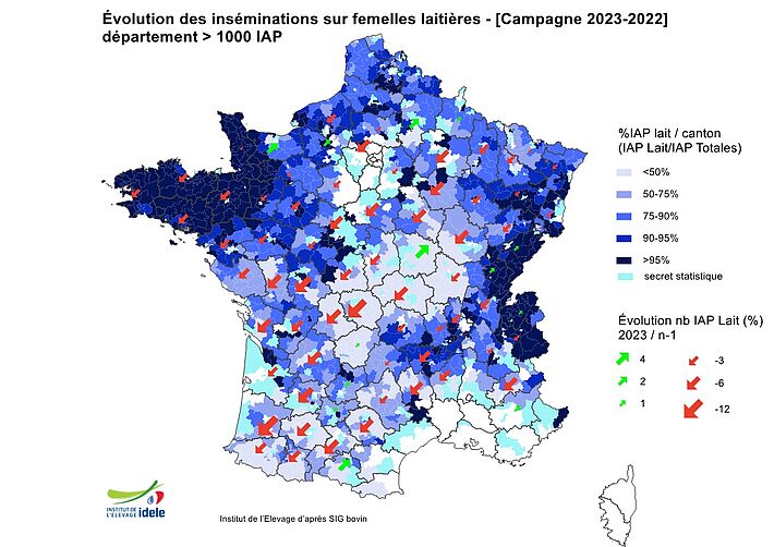 Type d'insémination par race de femelle