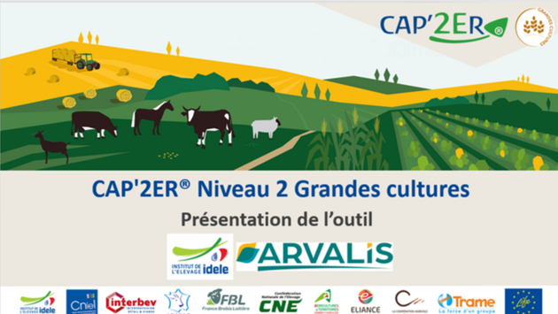 Institut de l'Élevage - Idele.fr