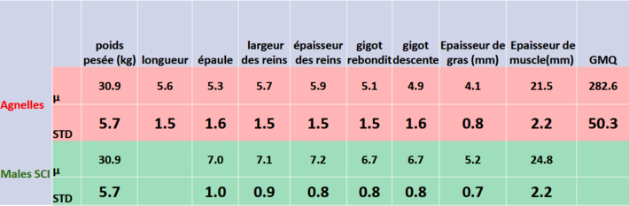 Conclusions et perspectives