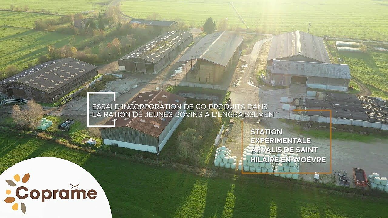 Institut de l'Élevage - Idele.fr