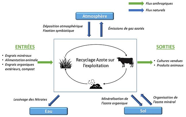 Gestion des effluents et des déjections (GED) - Idele.fr